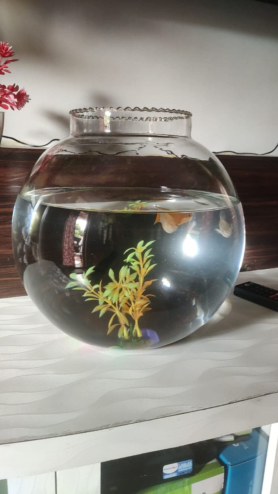 CAS 1L to 14L Clear Glass Fish Bowl (3.2L) 8 Inches : Amazon.in: Pet ...