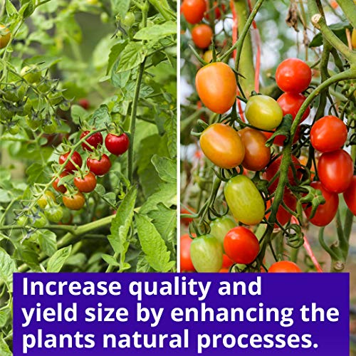 Humboldts Secret Tree Trunk - Silicate Additive - Indoor Plant Food ...