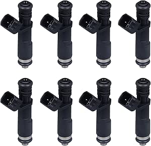 Amazon.com: AdvanEX Fuel Injector 2 Holes Compatible with Ford ...