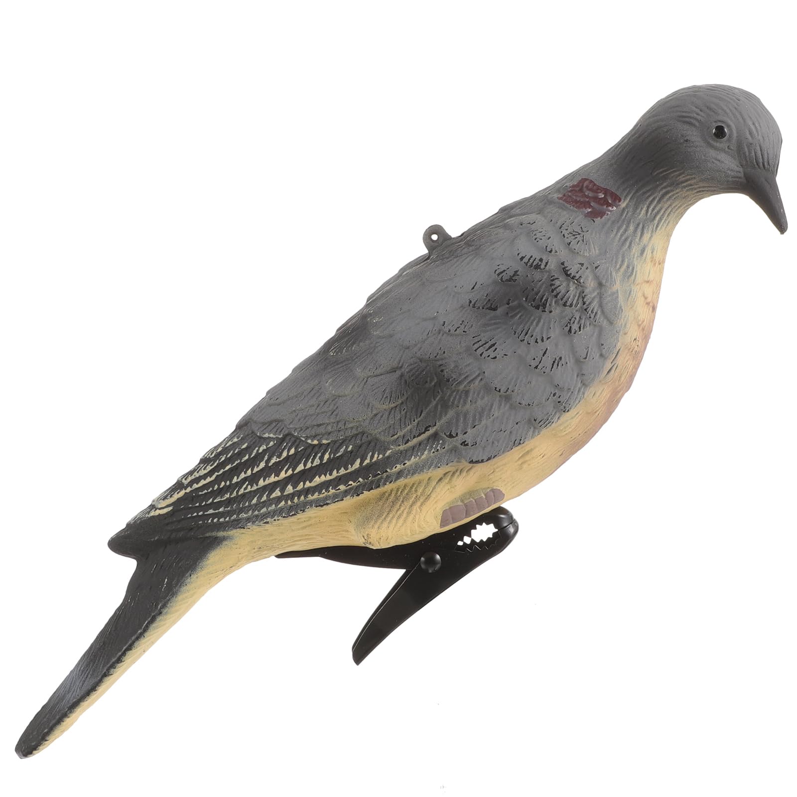 Amazon.com: INOOMP Miniature Simulated Pigeon, Pigeon Figurine ...