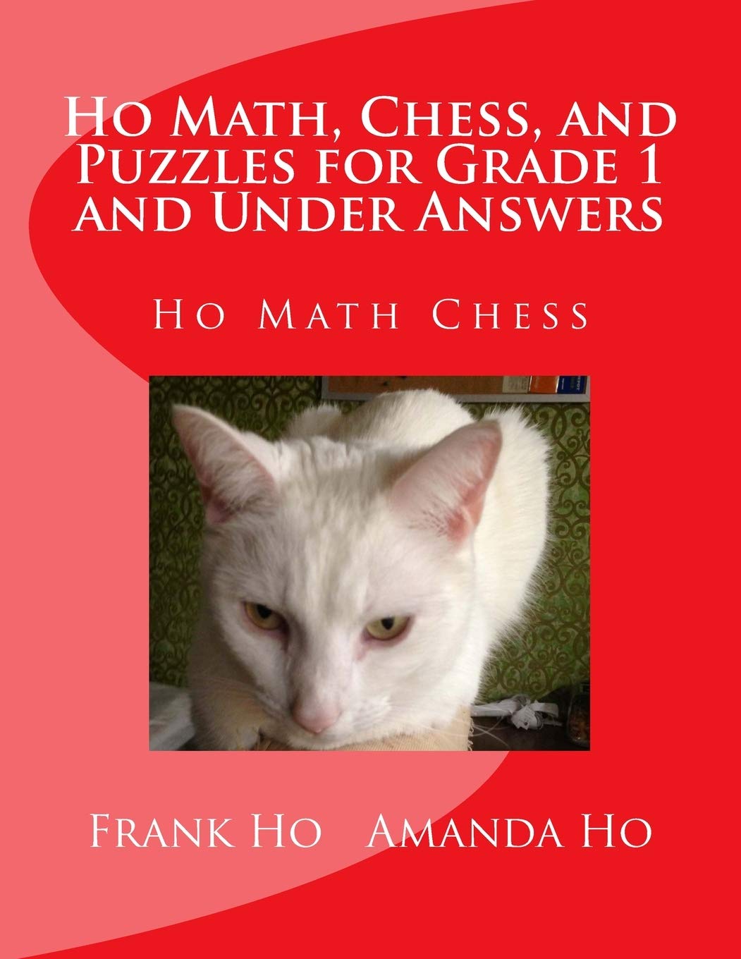 Buy Ho Math, Chess, and Puzzles for Grade 1 and Under Answers: Ho Math ...