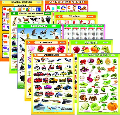 EDUCATIONAL CHARTS FOR KIDS – ENGLISH- Set of 10 Charts - Size 49 X 75 ...