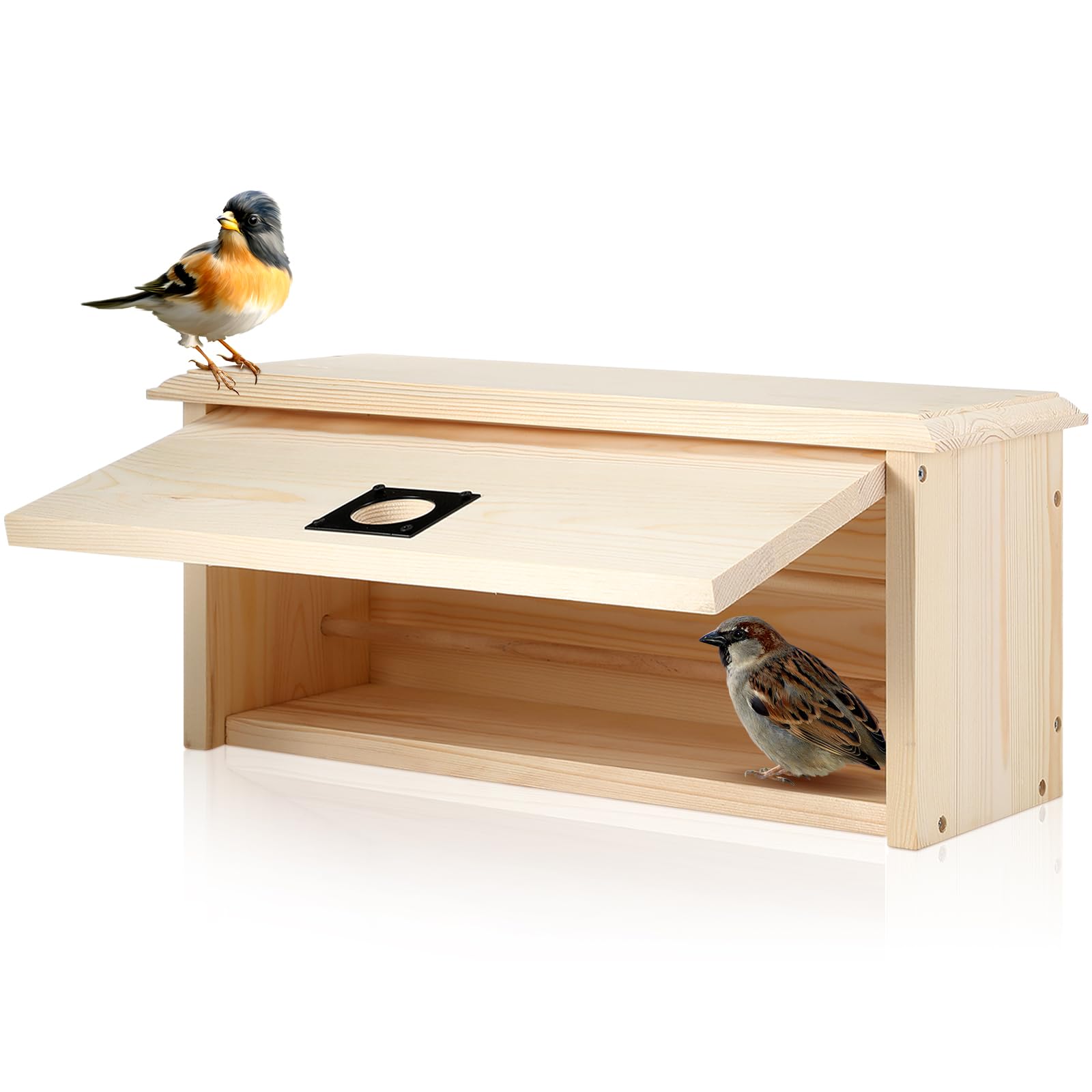 Amazon.com : CroBlissful Bluebird Houses for Outside, Extra Long Bird ...