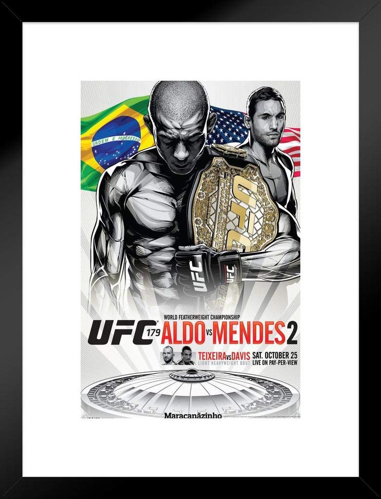 Ufc 179 Poster