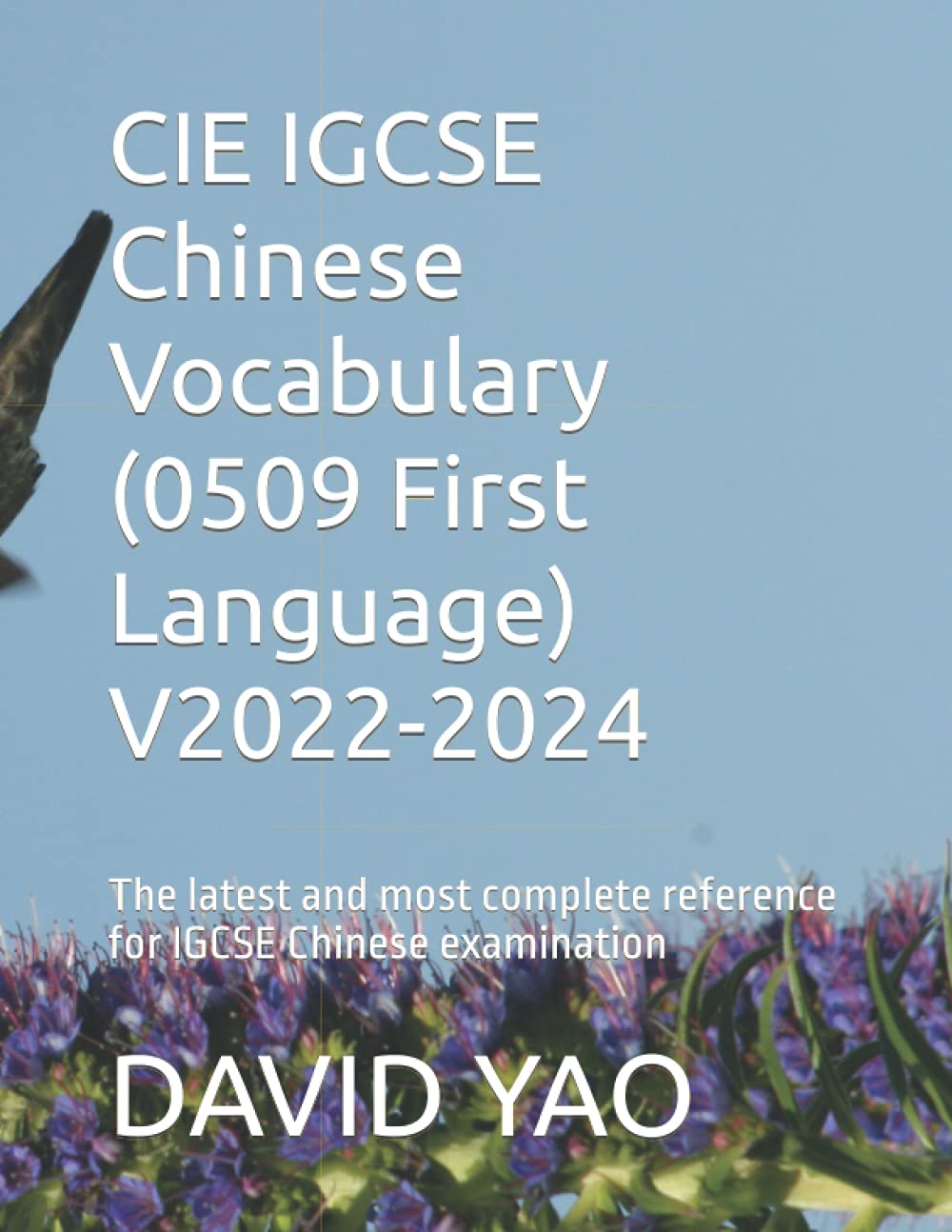 Buy CIE IGCSE Chinese Vocabulary (0509 First Language) V2022-2024: The ...