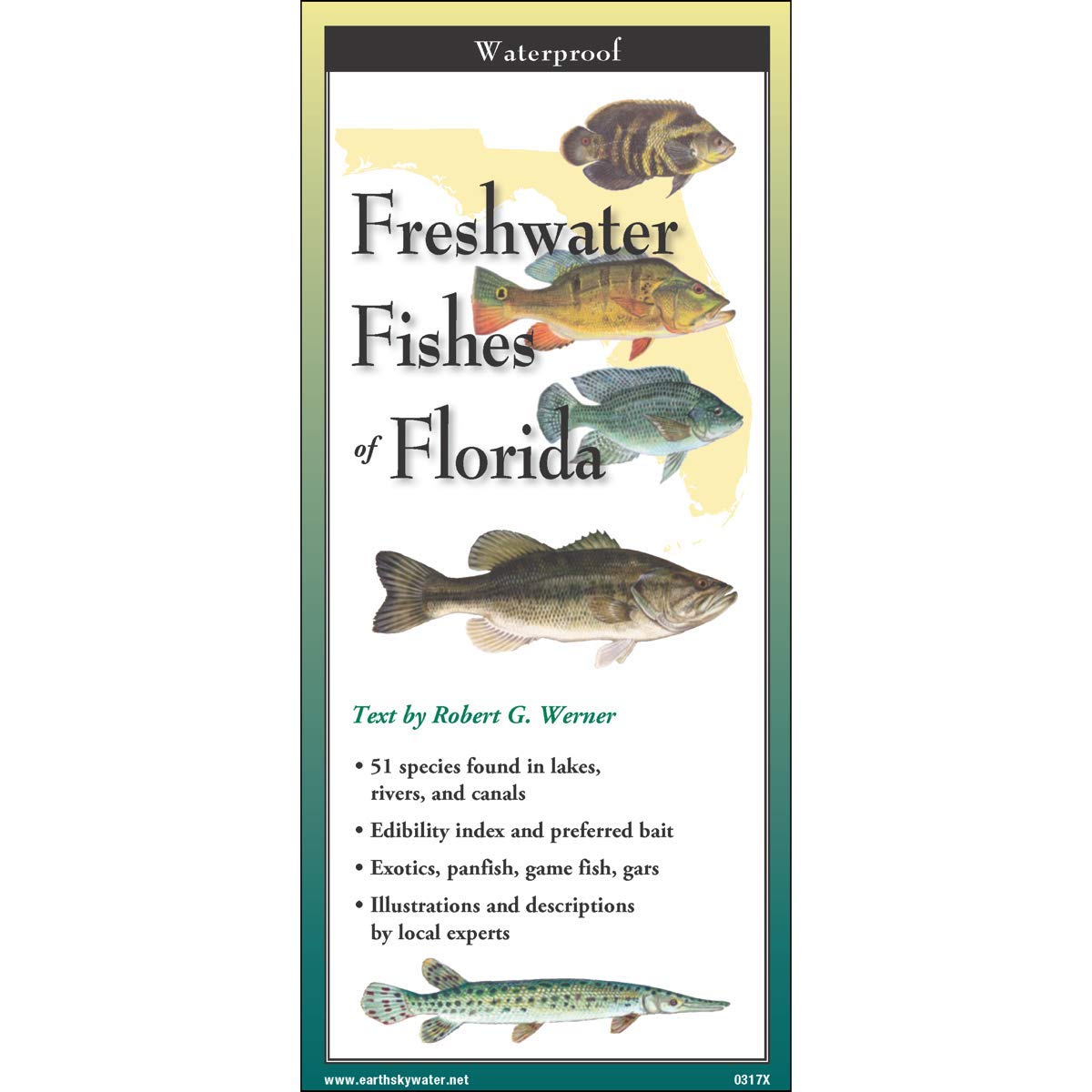 Florida Native Freshwater Fish Fishes In The Fresh Waters Of Florida