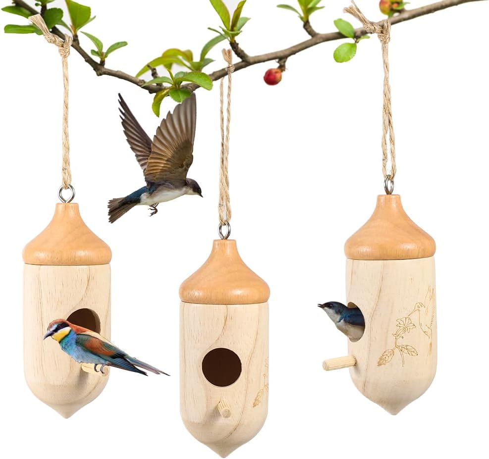 Amazon.com: Picowe 3Pack Hummingbird House Mini Wooden Bird House ...