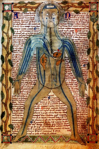 Buy CIRCULATORY SYSTEM 13TH CENTURY WESTERN REPRESENTATION IN THE ...