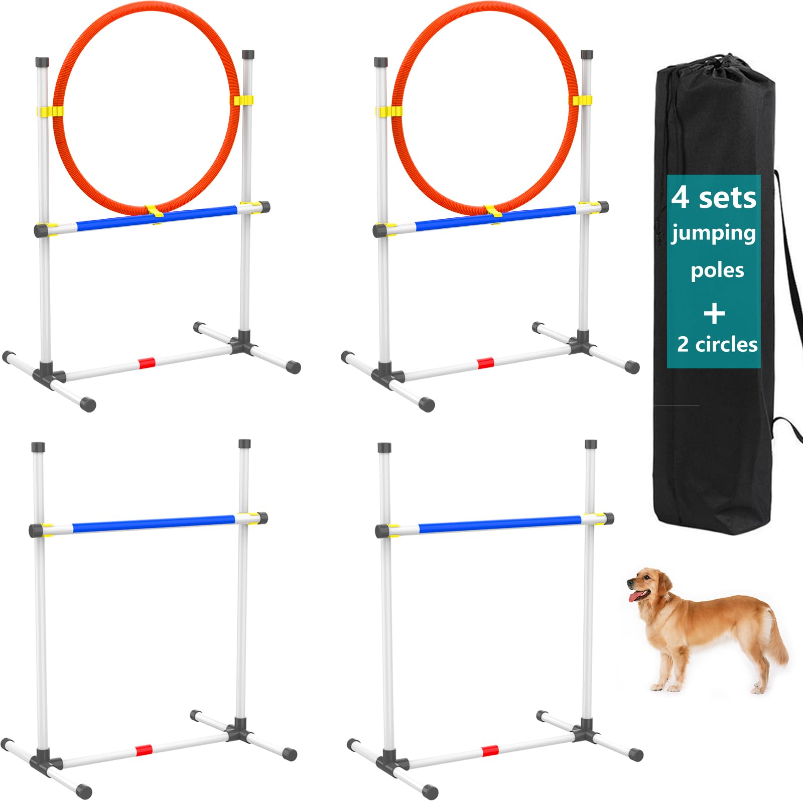 Dog Agility Indoor