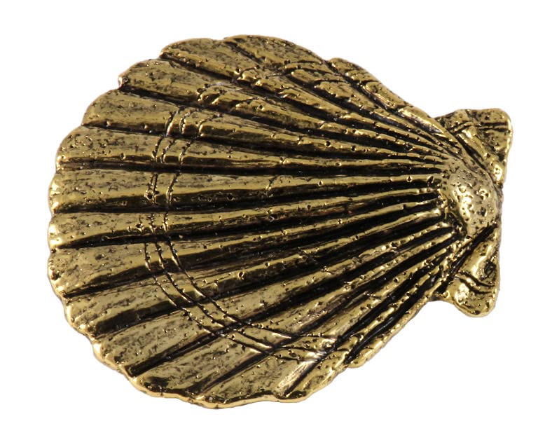 Amazon.com: Scallop Shell Pins, Large, Scallop, Beach, Shellfish, Clam ...