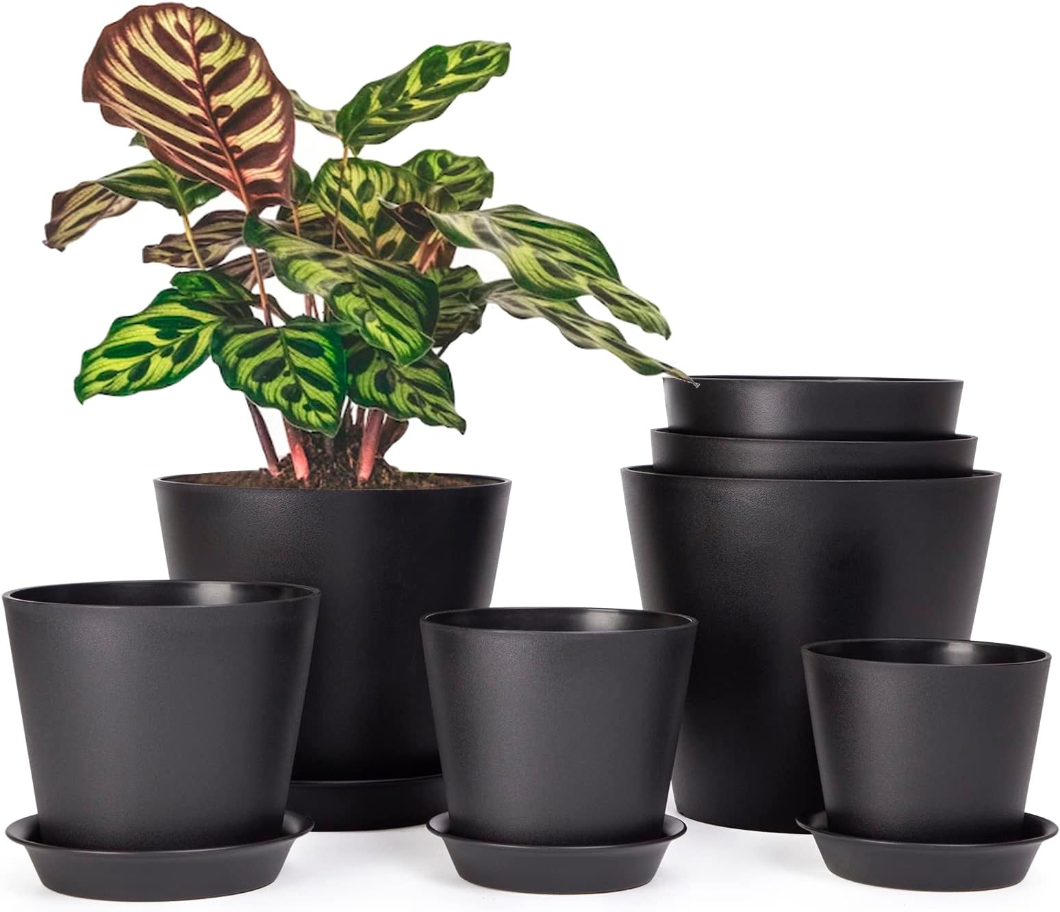 Amazon.com: Meshpot 6.3 Inches Plastic Orchid Pots With Holes - 2 Inner ...