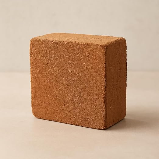Amazon.com : COCONIQ Coco Coir Block 4 Blocks (40 Pounds) - Large ...