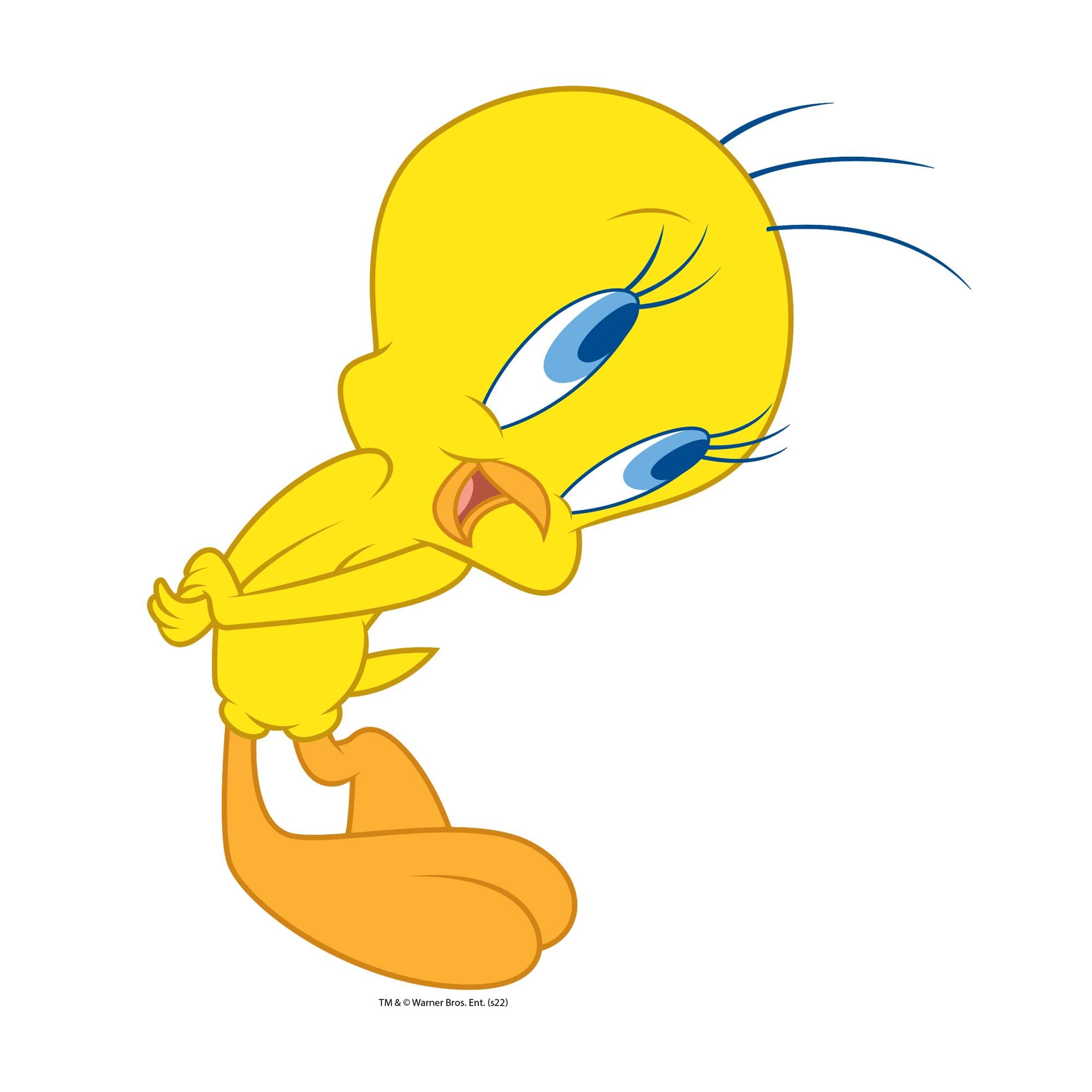 Tweety Bird Thanksgiving
