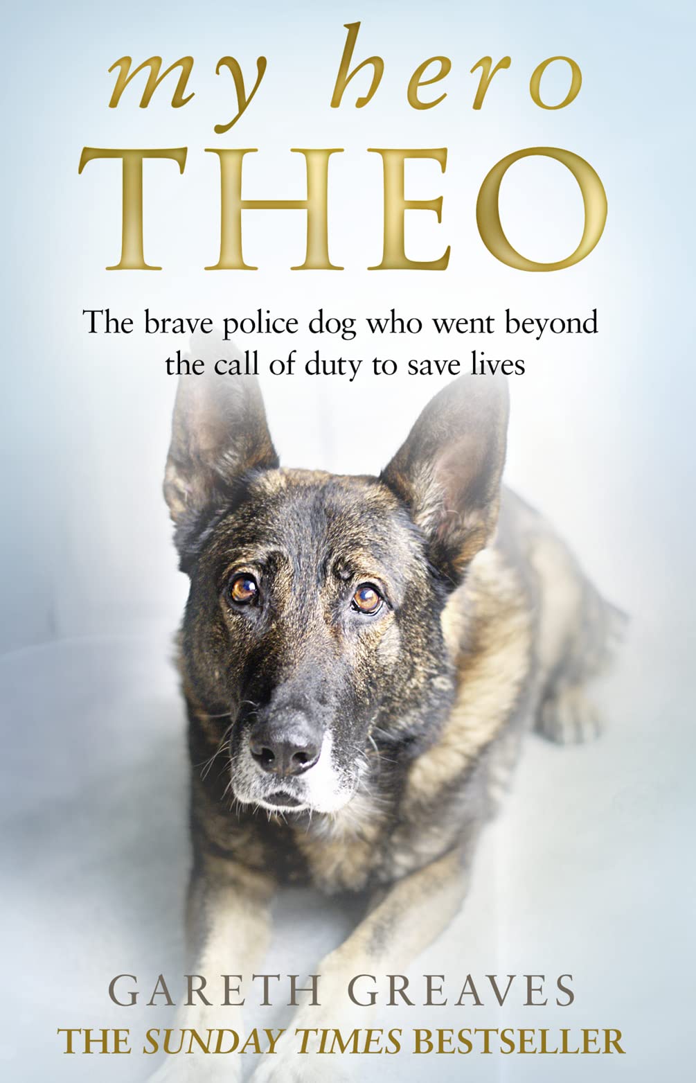 My Hero Theo: The brave police dog who went beyond the call of duty to ...