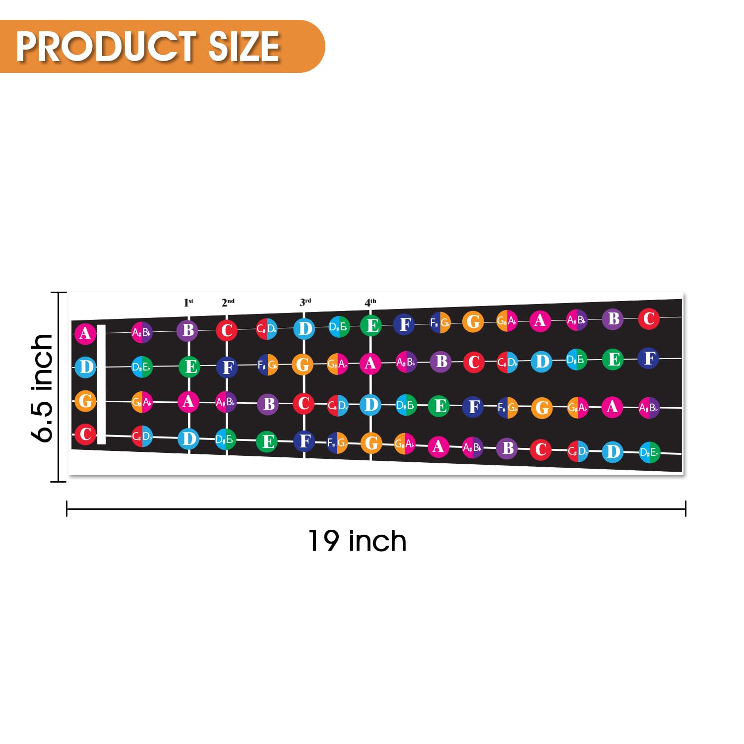 Snapklik.com : Color Coded Cello/Viola Fretboard Note Chart