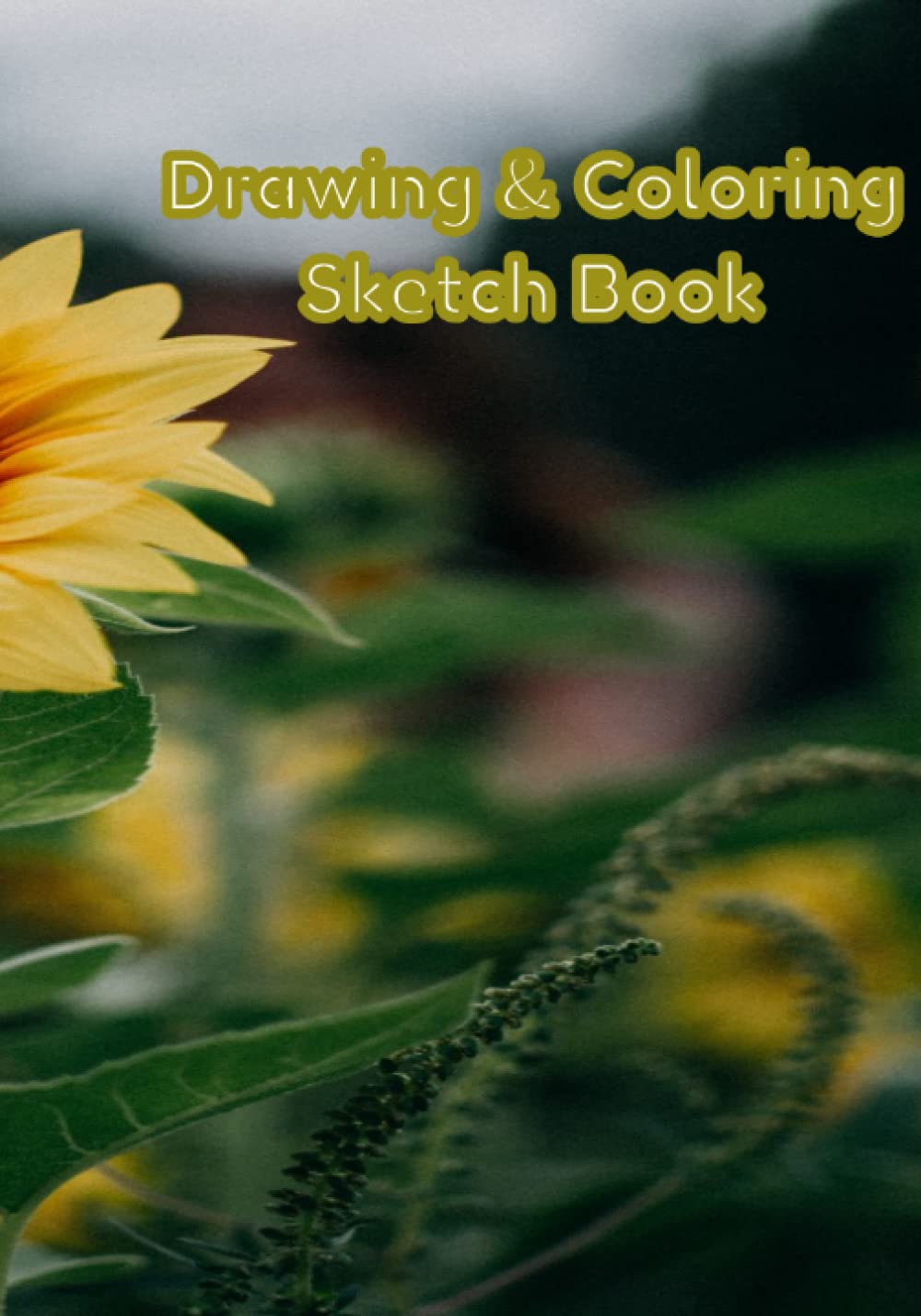 Amazon.com: Draw & Coloring Sketch Book: 9798827698913: LLC, A Family ...