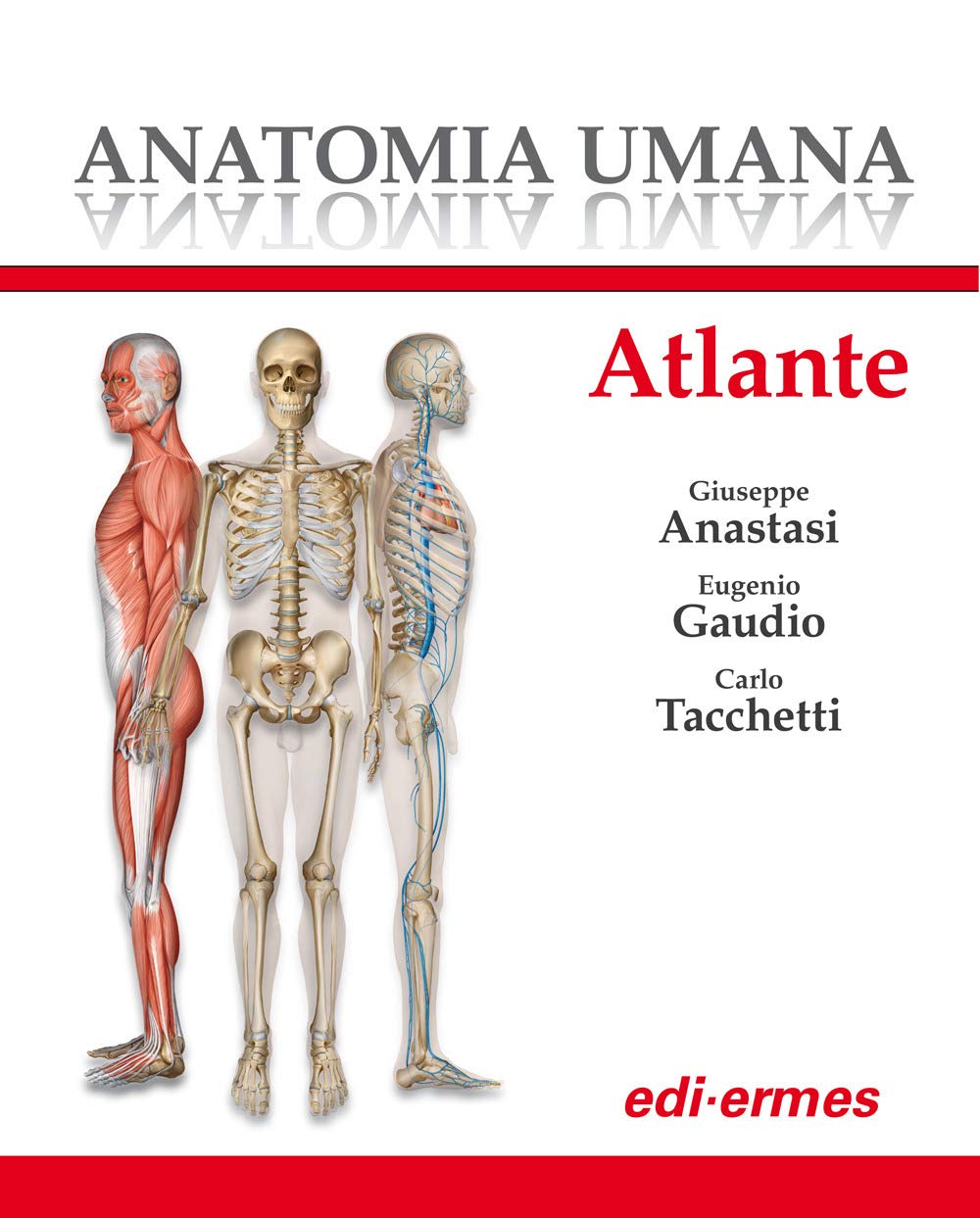 Anatomia umana. Atlante : Anastasi, Giuseppe, Gaudio, Eugenio ...