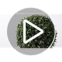 Amazon.com: MyGift 15 Inch Artificial Boxwood Topiary Tree - 2 Pack ...
