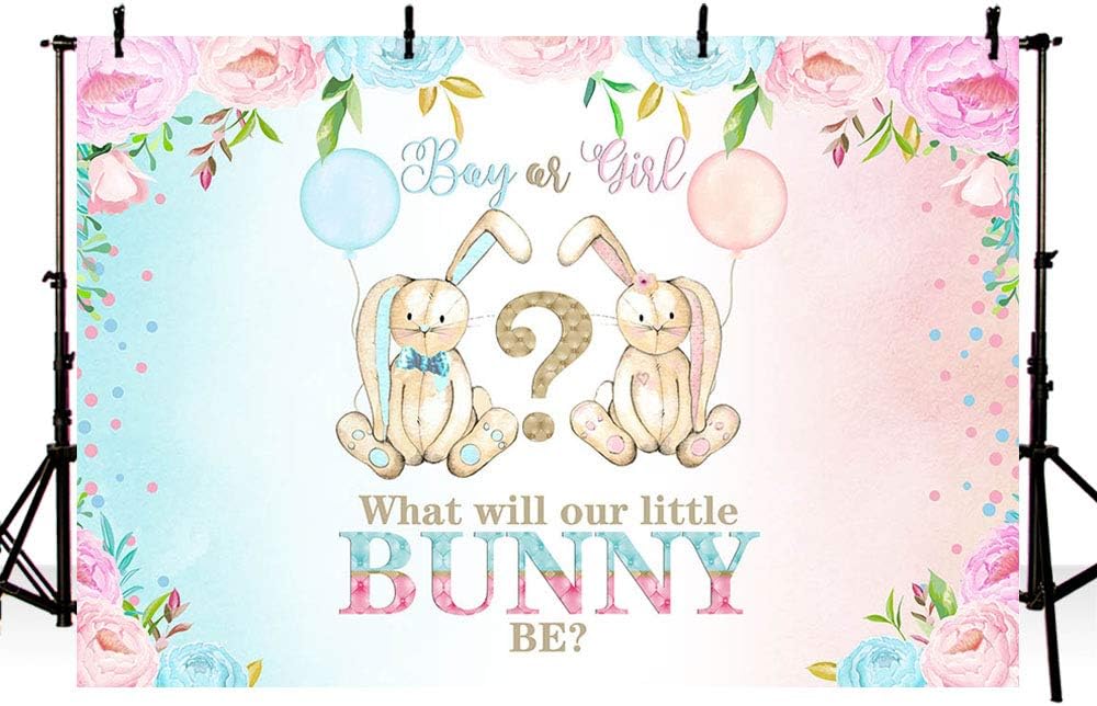 Amazon.com : 7x5ft Bunny Gender Reveal Backdrop He or She Gender Reveal ...