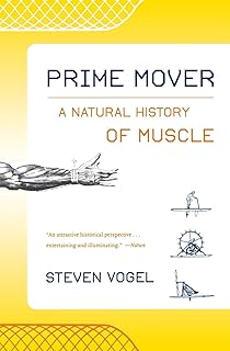 Prime Movers Muscles: Unlocking The Power Of Movement | CyVigor
