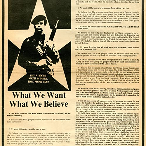 Episode 19: Black Panther Party 10 Point Platform and Program : Amazon ...