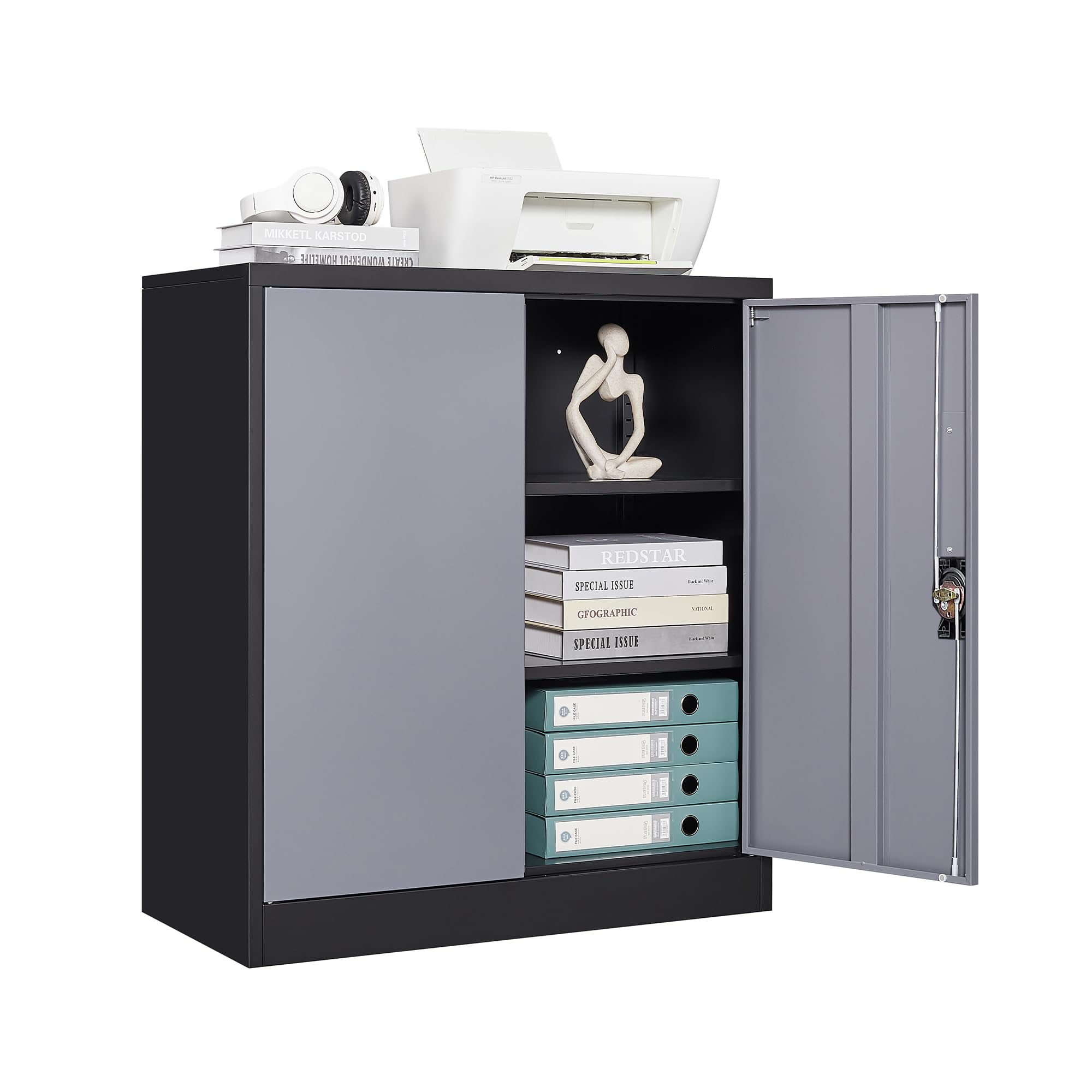 Amazon.com: STANI Metal Storage Cabinet with 2 Adjustable Shelves ...