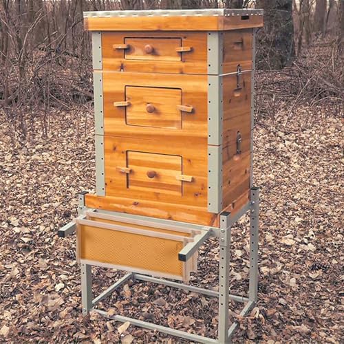 Amazon.com: GUTINNEEN Bee Hive with Metal Frame and Stand, 10-Frame Bee ...