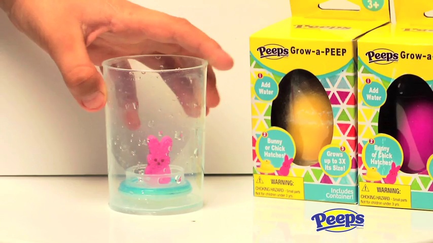Watch Little Kids Peeps Grow A Peep ﹙4 Pack﹚ on Amazon Live