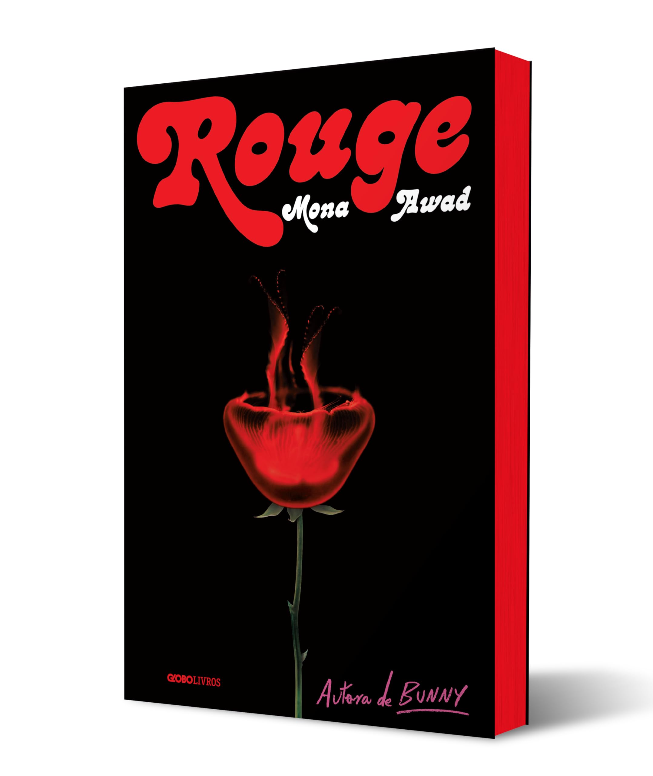 Rouge | Amazon.com.br