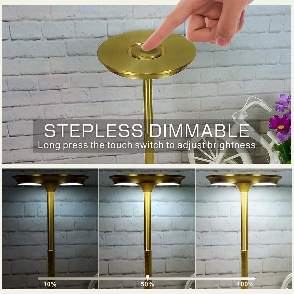 Snapklik.com : ZEEFO Rechargeable LED Table Lamp, Stepless Dimmable ...