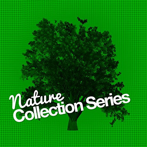 Amazon.com: Nature Collection Series : Nature Sound Collection: Digital ...