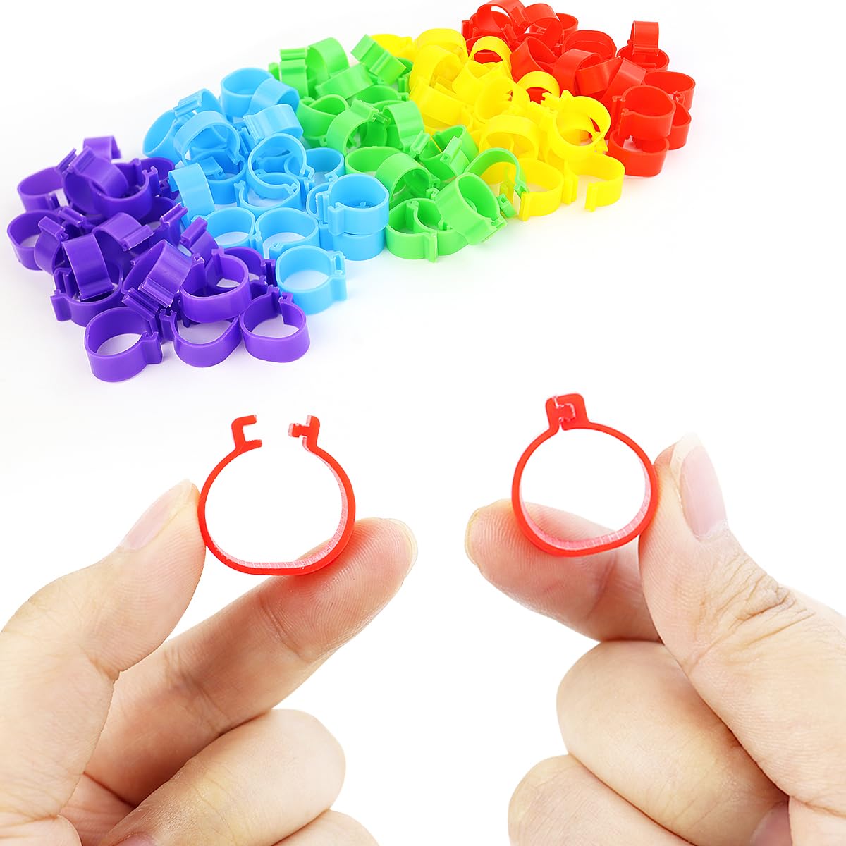 Snapklik.com : 100 PCS Chicken Identification Band 5Color Chicken Leg ...