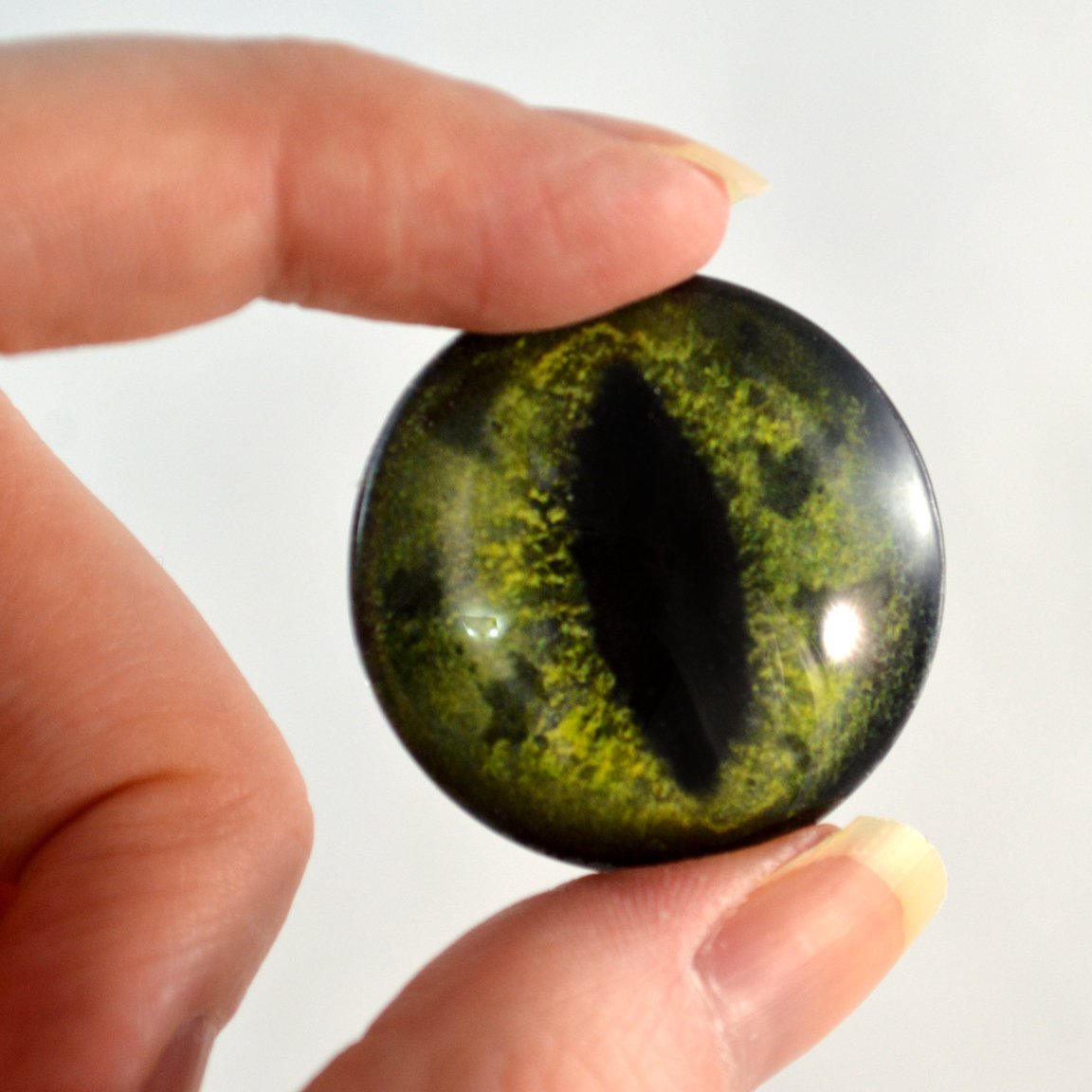 Alligator Glass Eyes