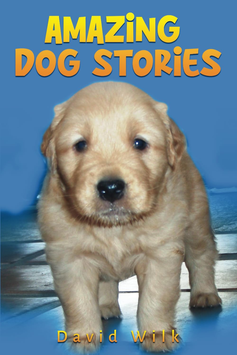 Amazing Dog Stories: Wilk, David: 9781917399371: Amazon.com: Books