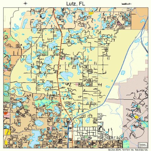Large Street & Road Map of Lutz, Florida FL - Printed poster size wall ...
