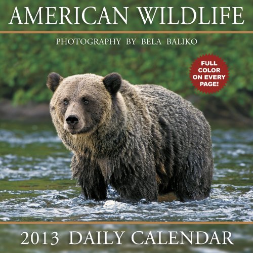 2013 American Wildlife Box: Bela Baliko Photography & Publishing In ...