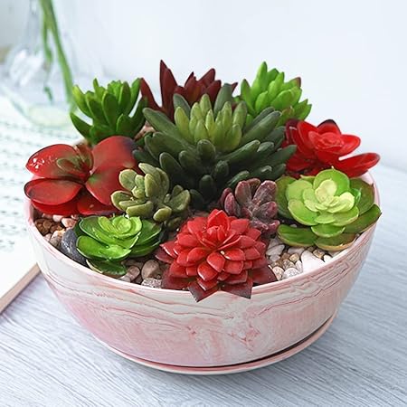 Amazon.com : G EPGardening Large Ceramic Succulent Planter Pot with ...
