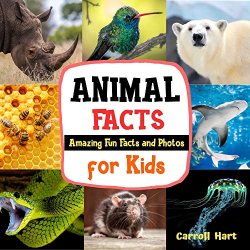 Animal Facts: Amazing Fun Facts and Photos for Kids (Animal Education ...