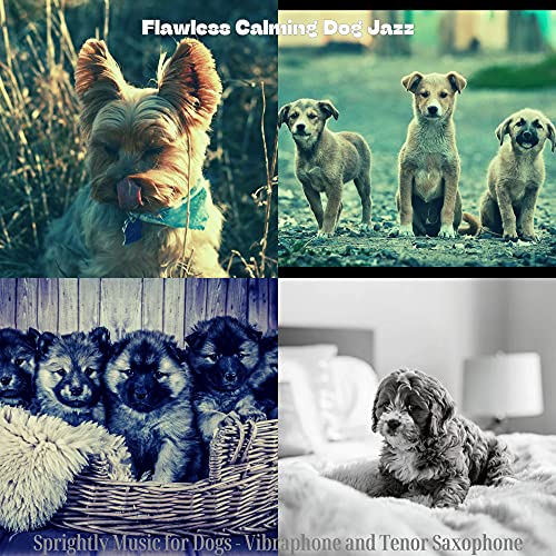 Sprightly Music for Dogs - Vibraphone and Tenor Saxophone de Flawless ...