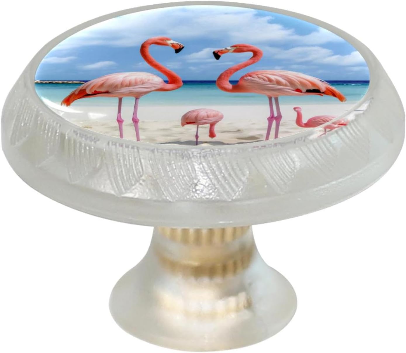 Elohiym 6 Pack Hexagon Cabinet Knobs,Turquoise and Green Tropical ...