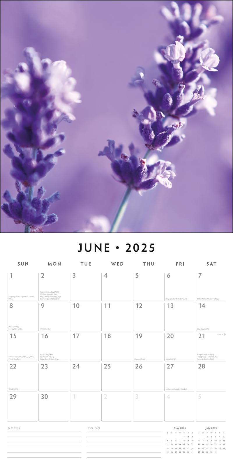Lavender – 2025 Square Wall Calendar – by Red Robin Publishing - BigaMart
