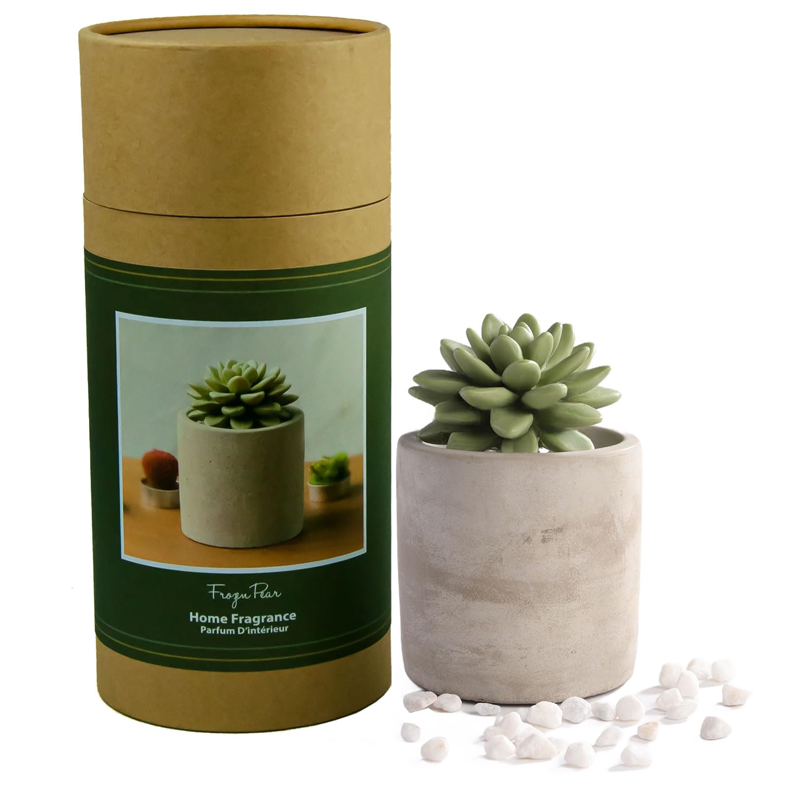 Amazon.com: Reed Diffuser Set, Pretty Valley Home Succulent Gypsum ...