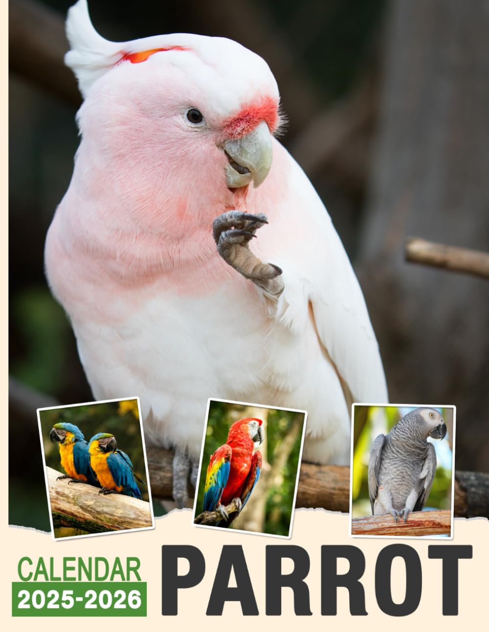 Amazon.com: Parrot Calendar 2025 - 2026: 24-Month Covering Jan 2025 to ...