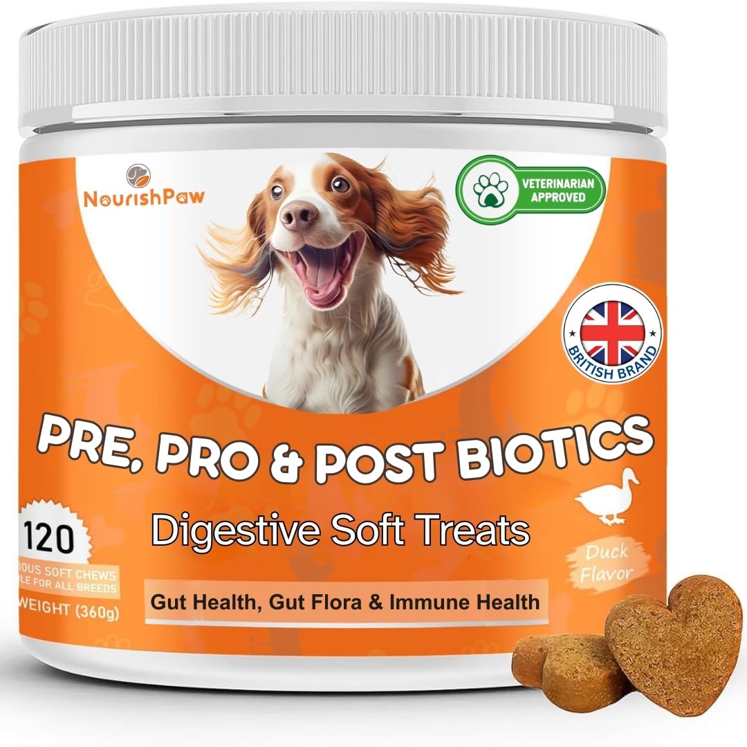 Pre, Pro & Postbiotics For Dogs - Digestive Treats - Optimal Gut Health ...