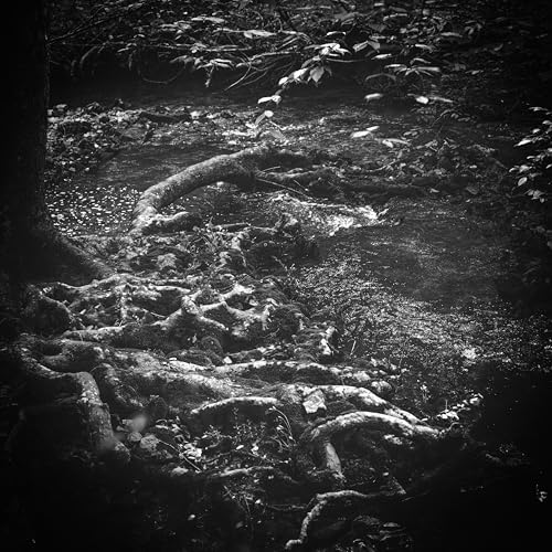 Differences von Solus Vir bei Amazon Music - Amazon.de