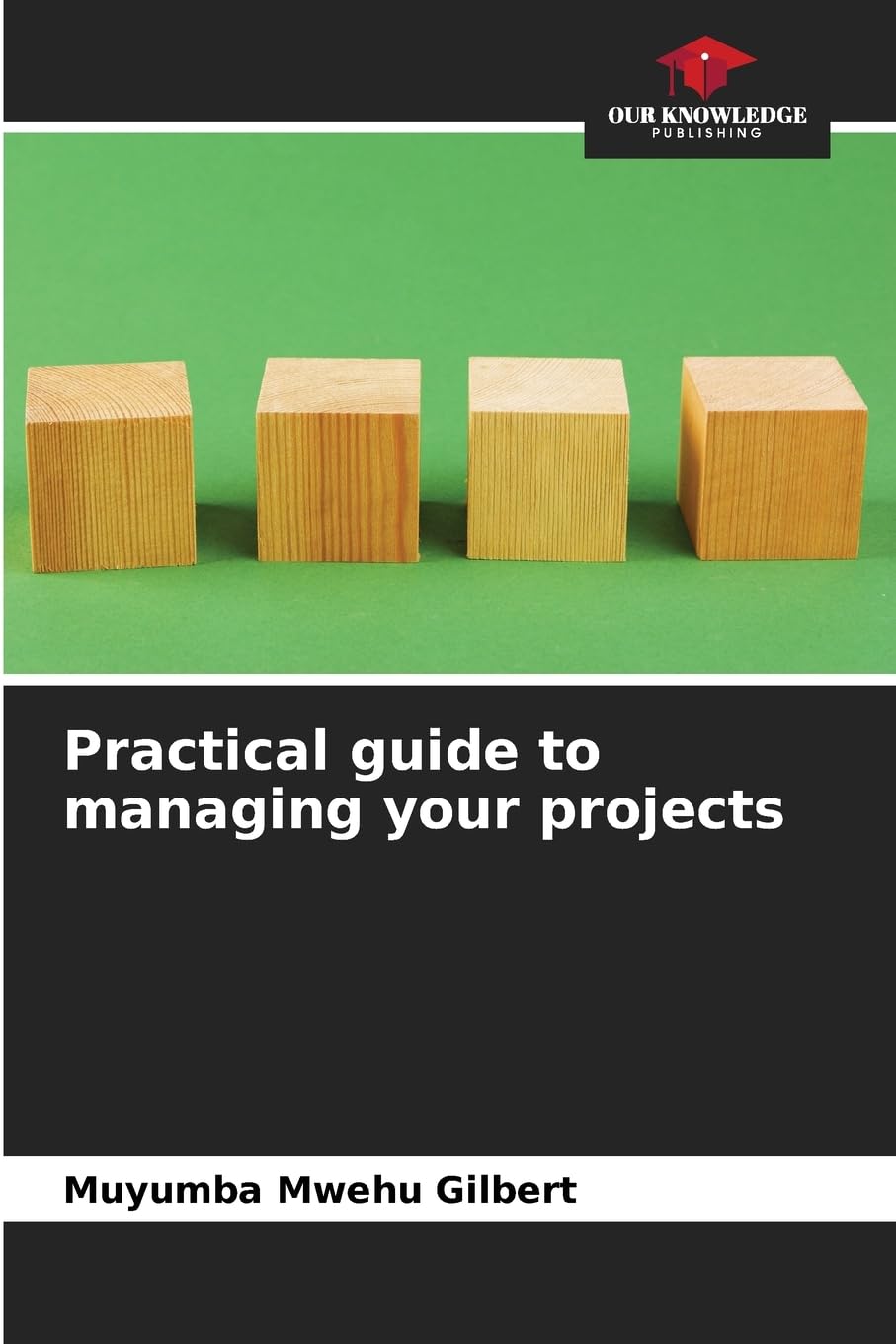 Buy Practical guide to managing your projects Book Online at Low Prices ...