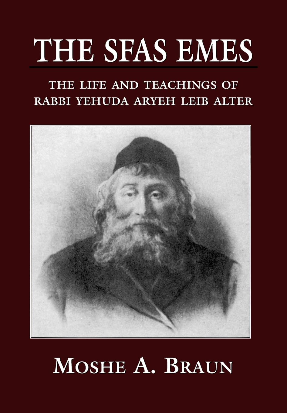 The Sfas Emes: The Life and Teachings of Rabbi Yehudah Aryeh Leib Alter ...