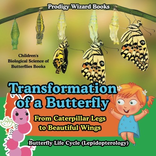 Buy Transformation of a Butterfly: From Caterpillar Legs to Beautiful ...