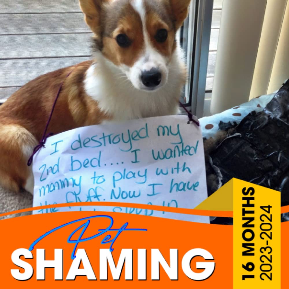 Amazon | Pet Shaming 16 Months 2023-2024: Funny And Cute Pets Meme ...
