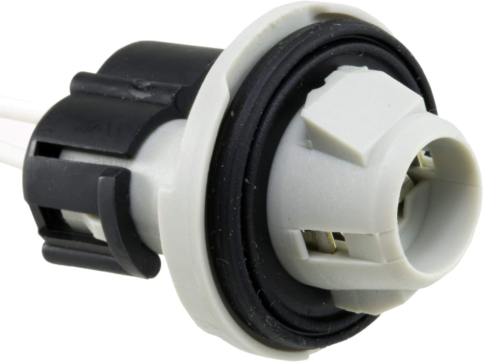 Amazon.com: WVE by NTK 1P1412 Back Up Light Socket : Automotive